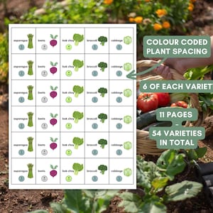 Square Foot Garden Planner: Visual Vegetable Planting Guide (PDF ...