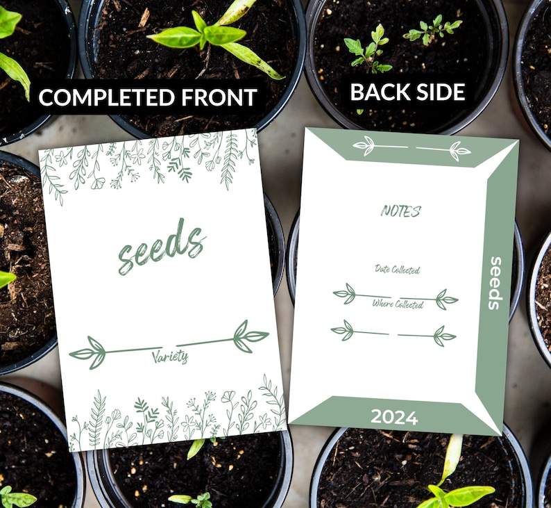 DIY Printable Seed Envelopes, Flower Seed Storage (PDF Download) - Etsy