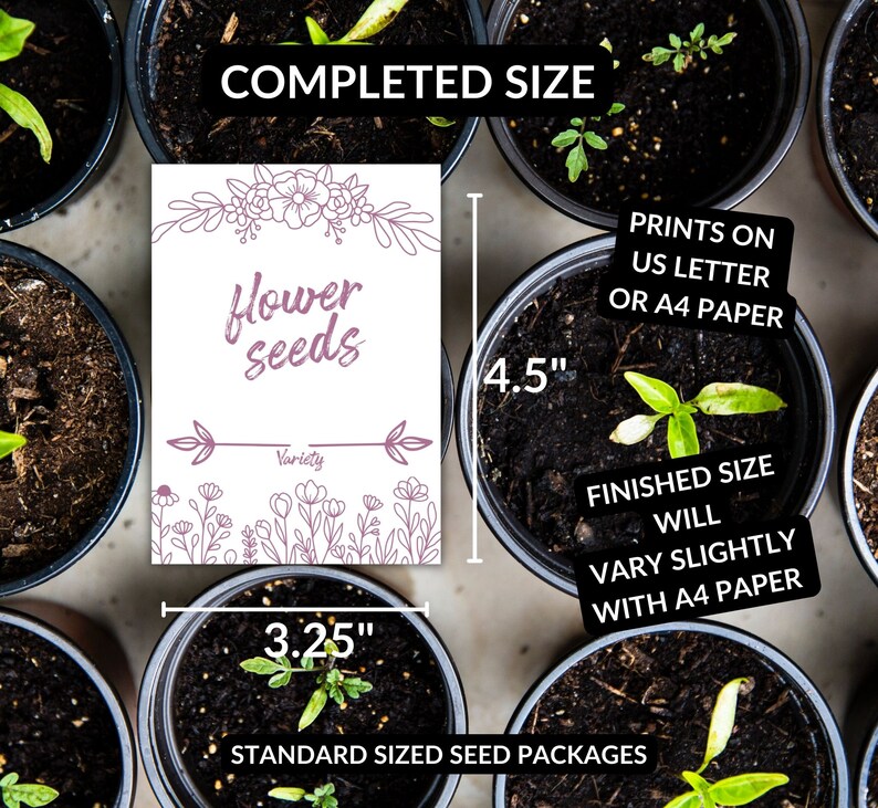 Printable Flower Seed Envelopes DIY Seed Packets Seed Storage Seed ...
