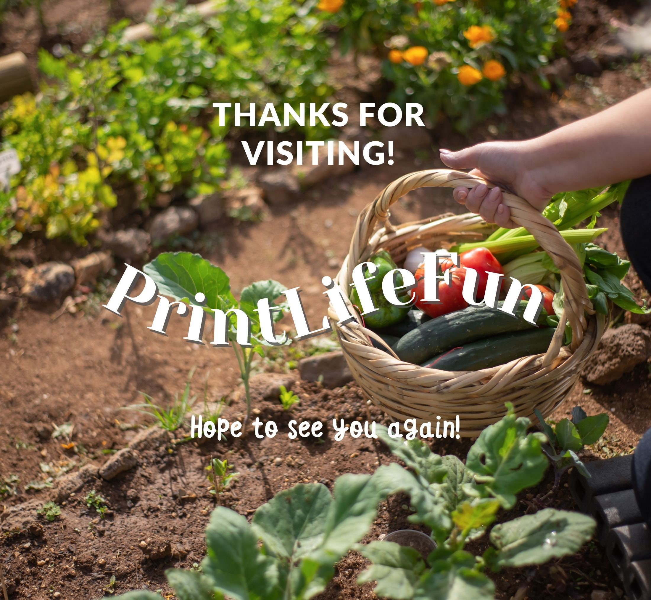 Square Foot Garden Planner: Printable Vegetable Garden Grid (PDF ...