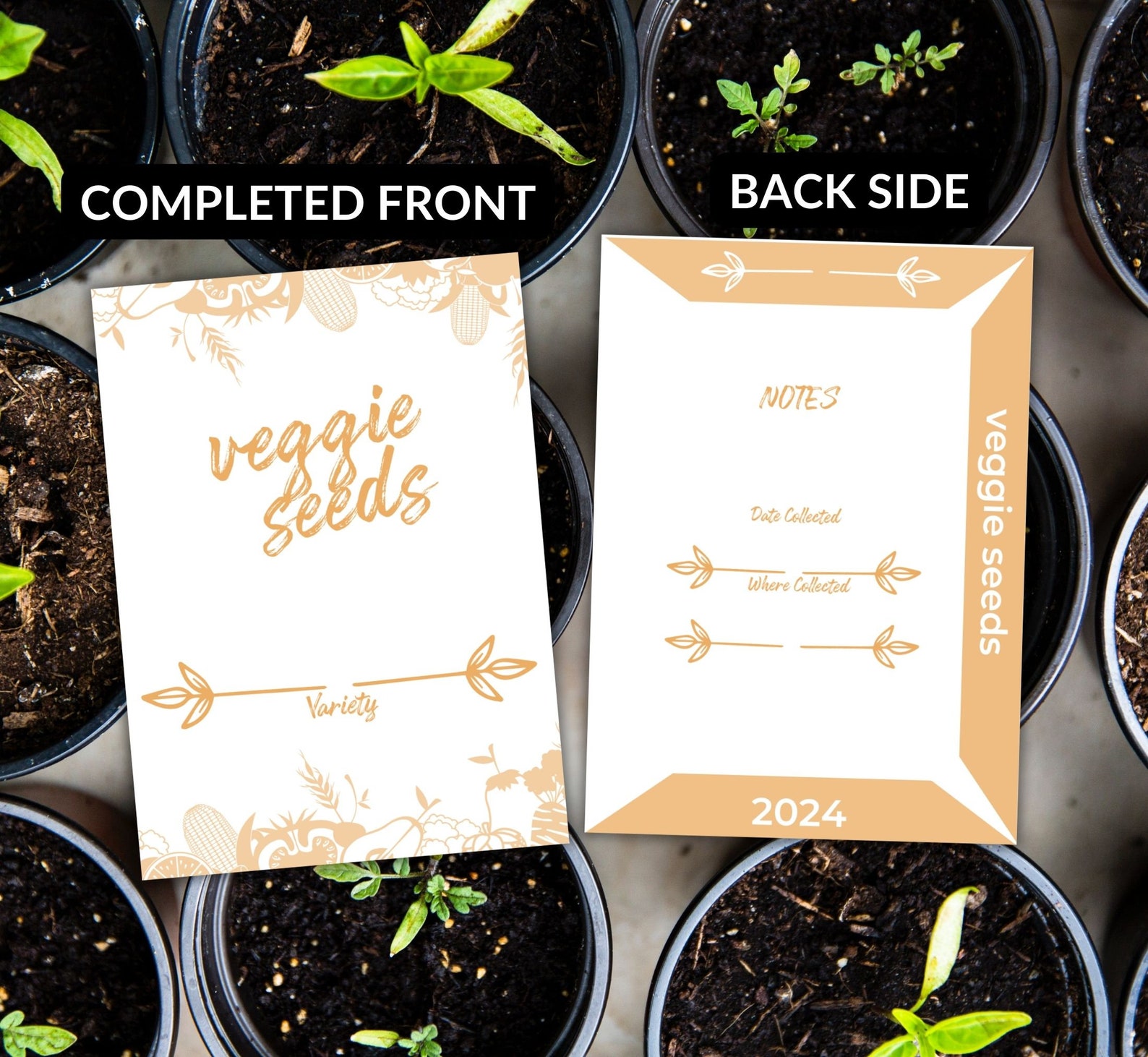 Printable Seed Envelopes DIY Seed Packets Seed Storage Seed Saving ...