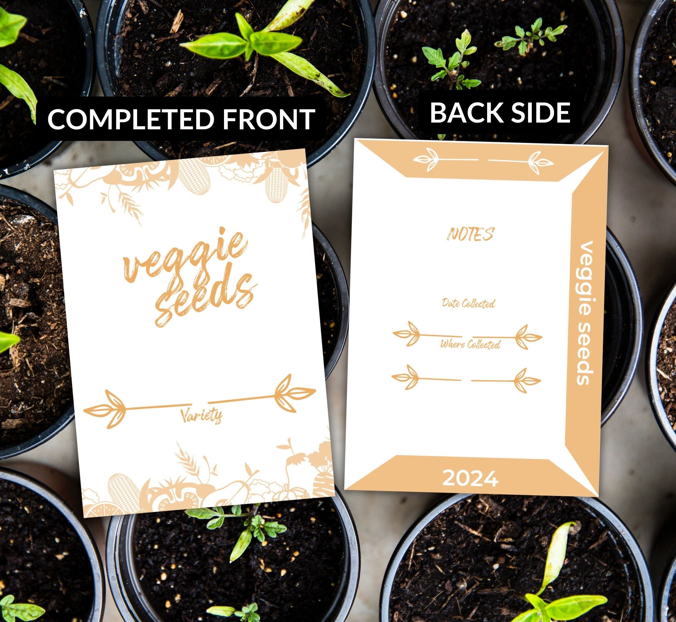 Printable Seed Envelopes DIY Seed Packets Seed Storage Seed Saving ...