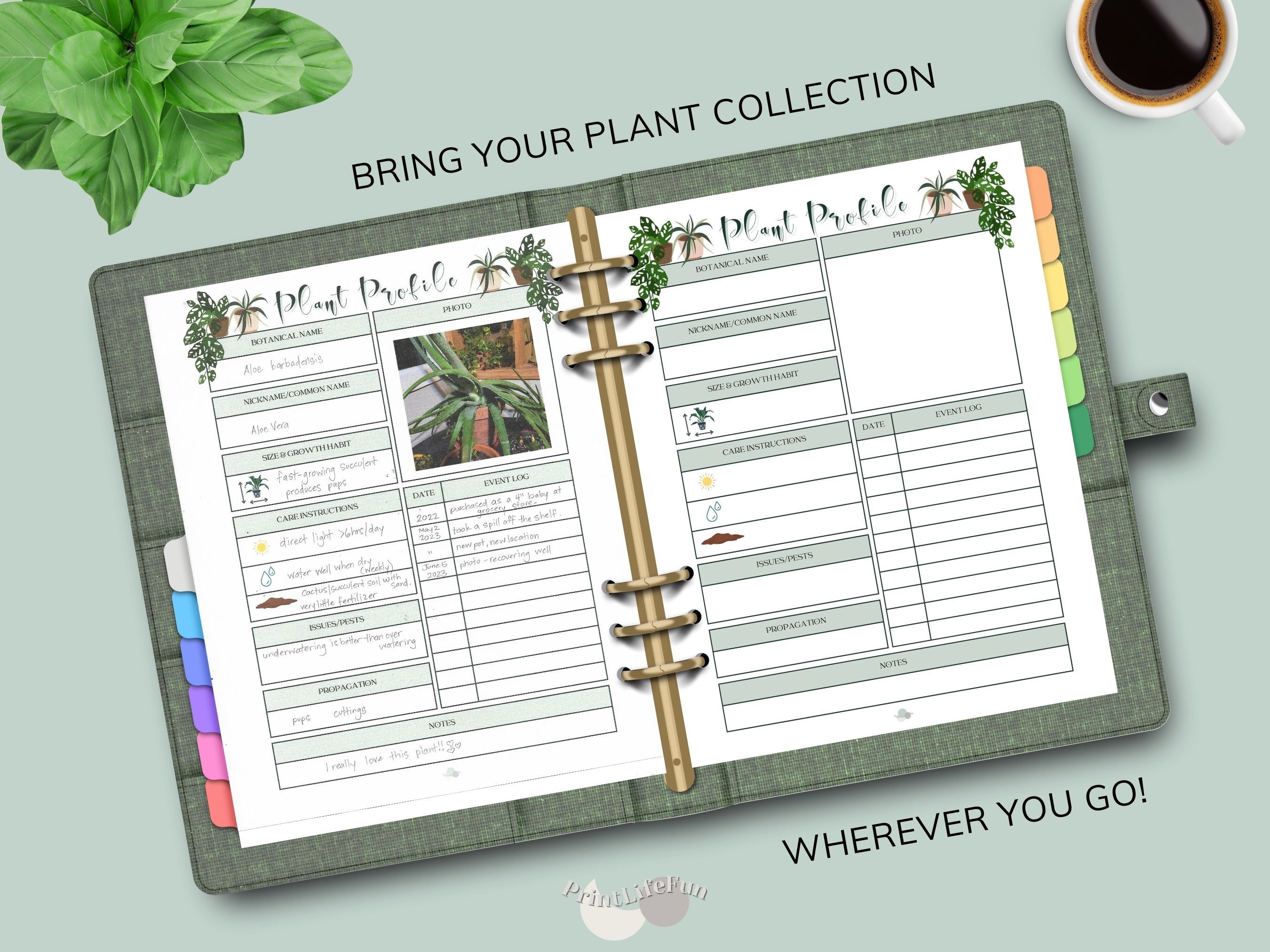 Houseplant Profile Page Printable Garden Planner Instant Download PDF ...