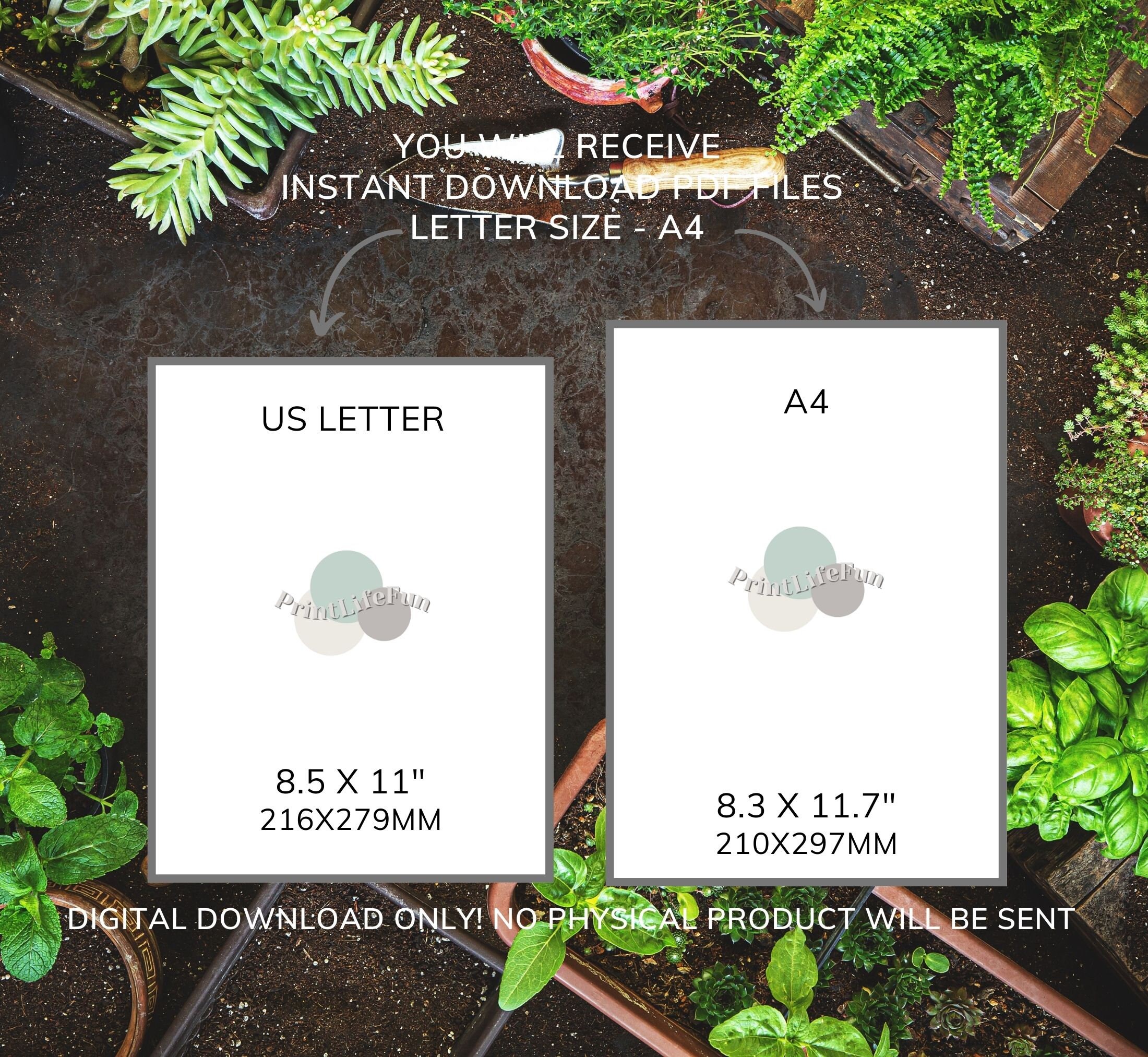 Printable Seed Envelopes: DIY Seed Packets for Flowers, Herbs, Veggies ...
