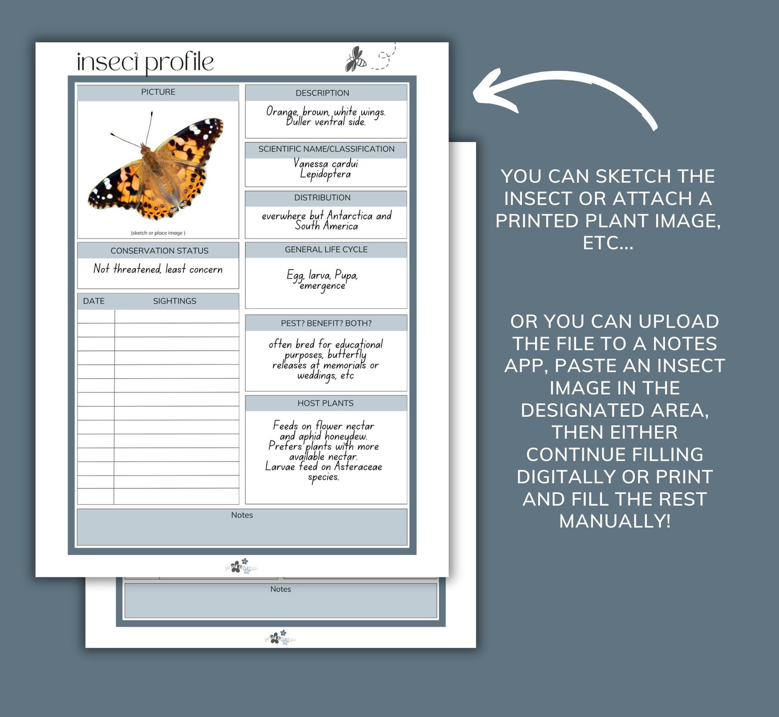 Insect Profile Printable: Entomology Studies, Science Biology (PDF ...