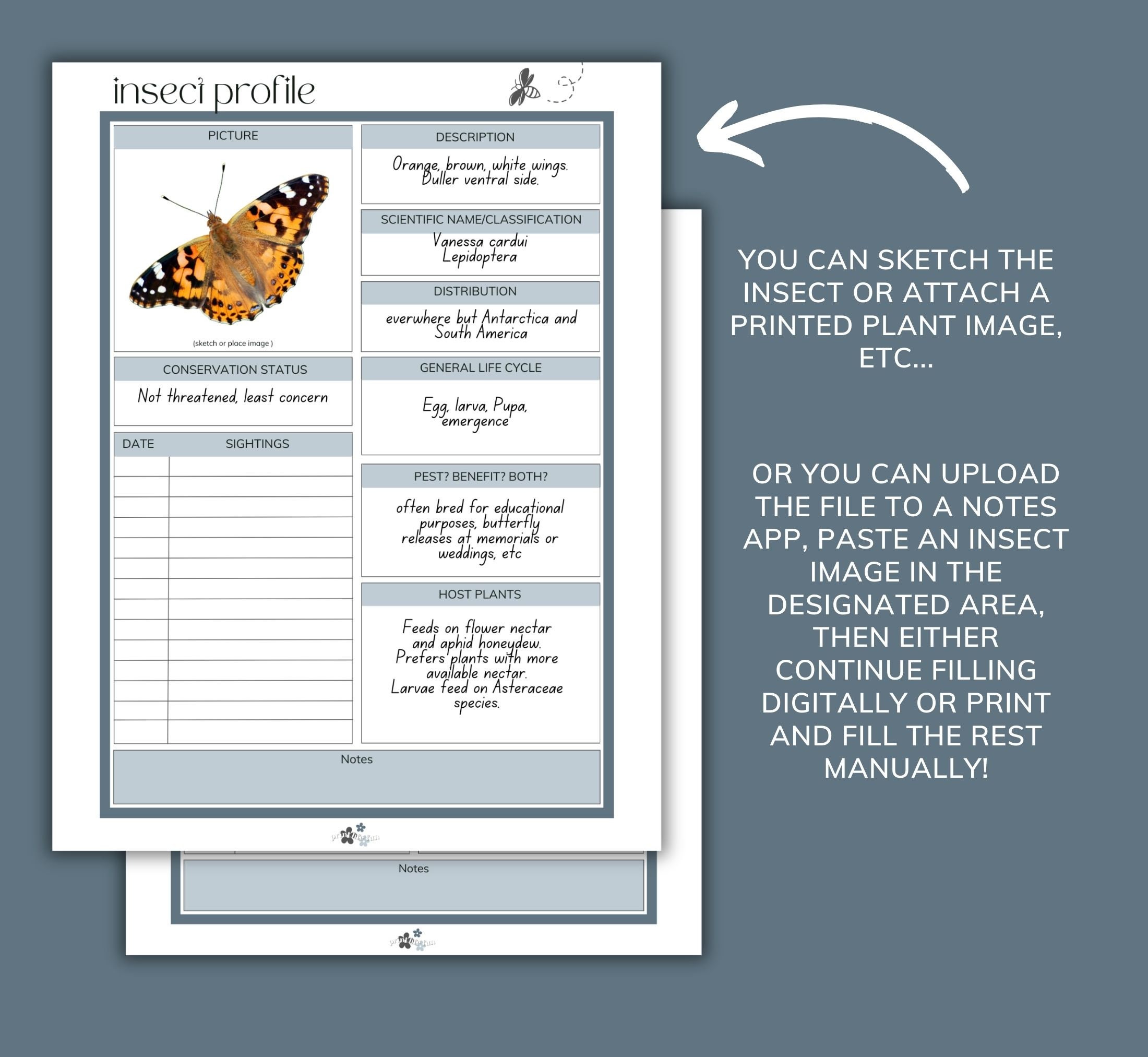 Insect Profile Printable PDF Instant Download - Entomology Studies ...