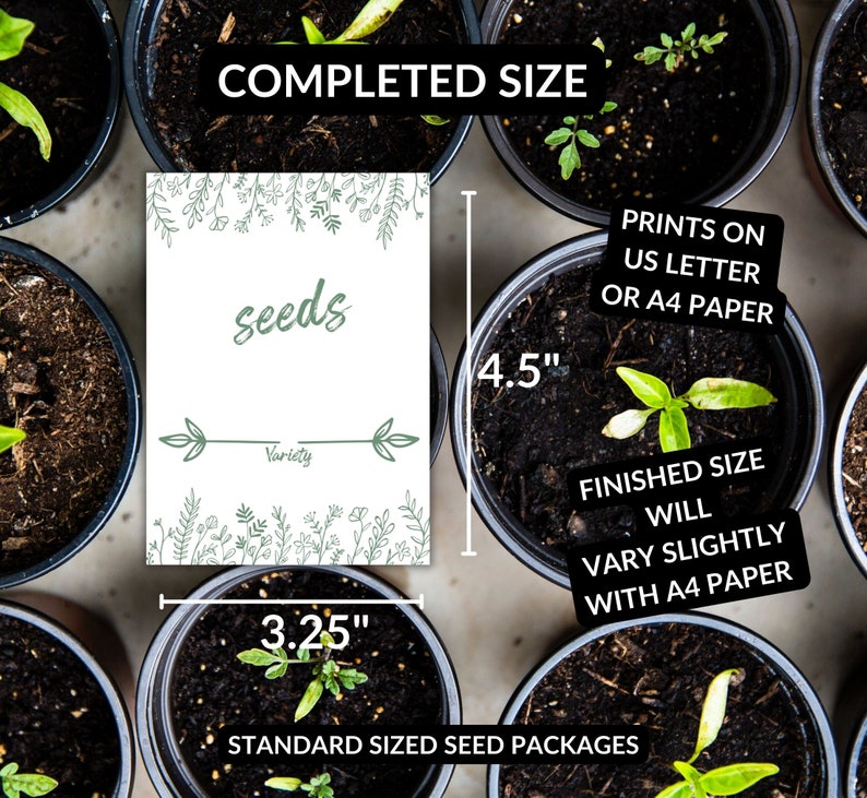 DIY Printable Seed Envelopes, Flower Seed Storage (PDF Download) - Etsy