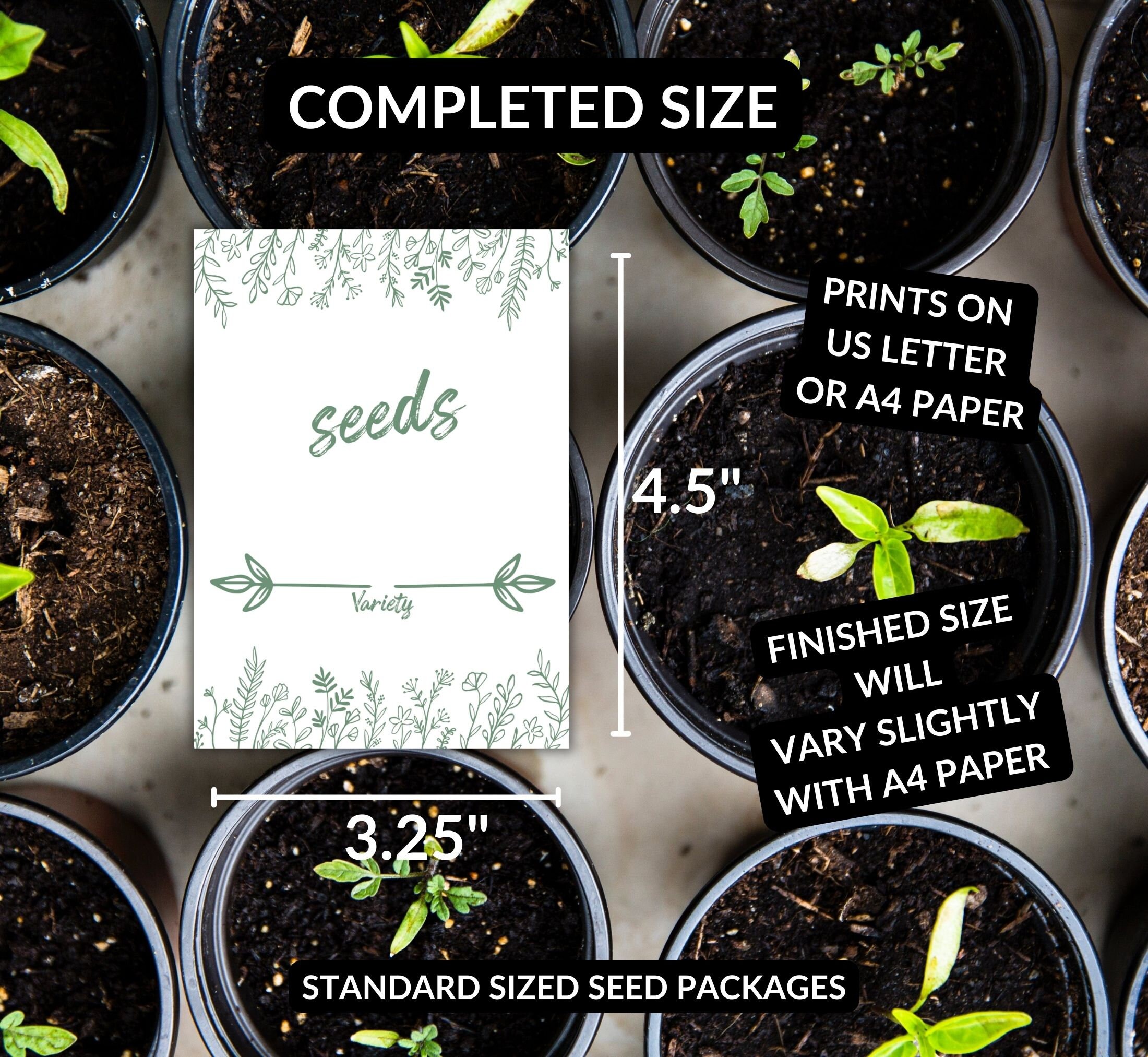 Printable Seed Envelopes DIY Seed Packets Seed Storage Seed Saving ...