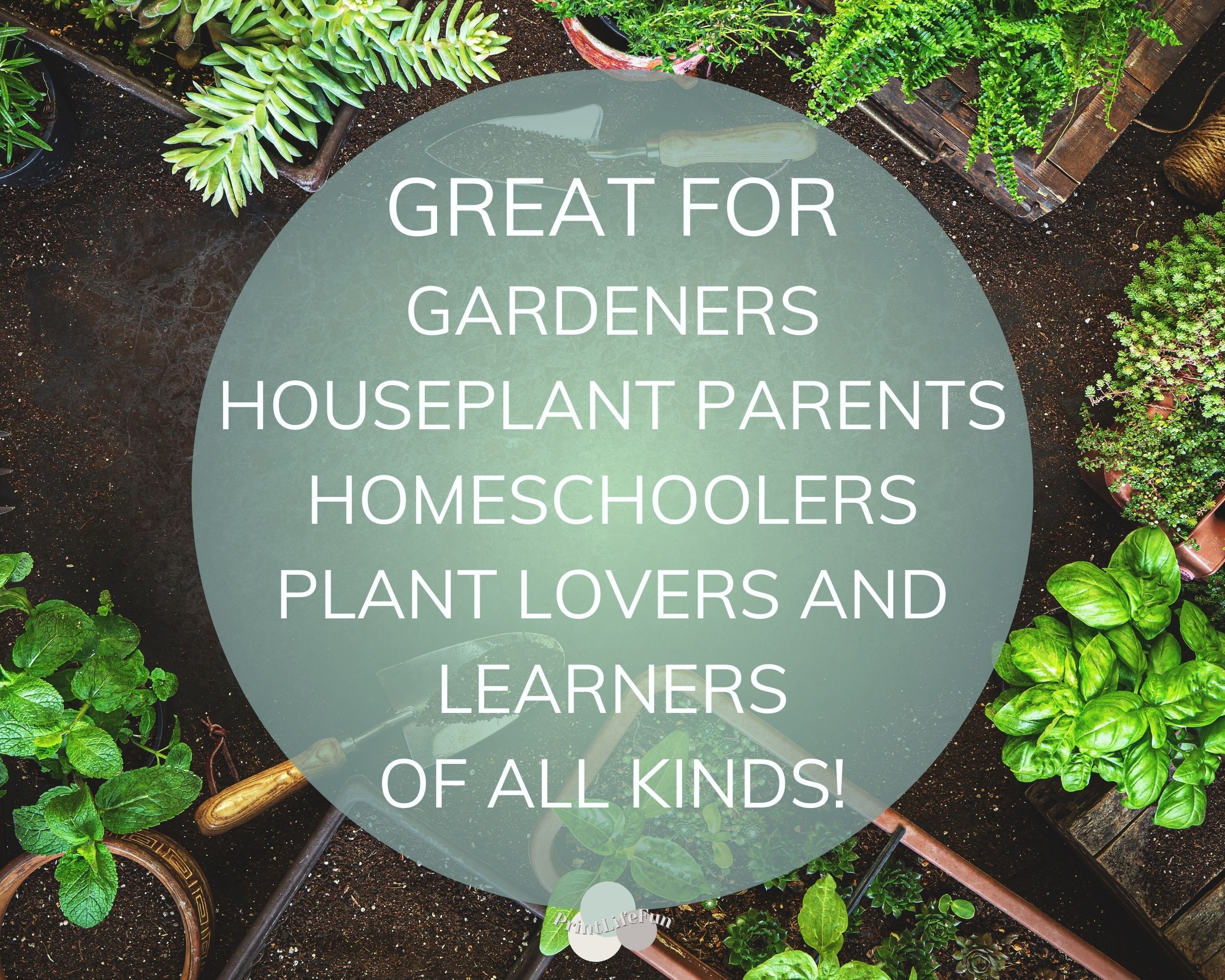 Printable Garden Plant Profile Sheet: Plant Information Planner (PDF ...