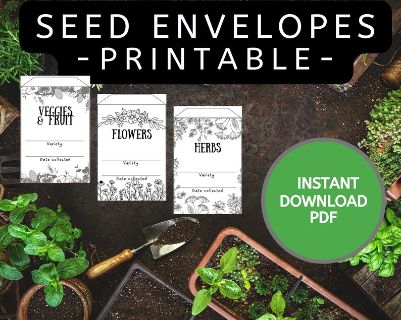 Printable Seed Envelopes DIY Seed Packets Seed Storage Seed - Etsy