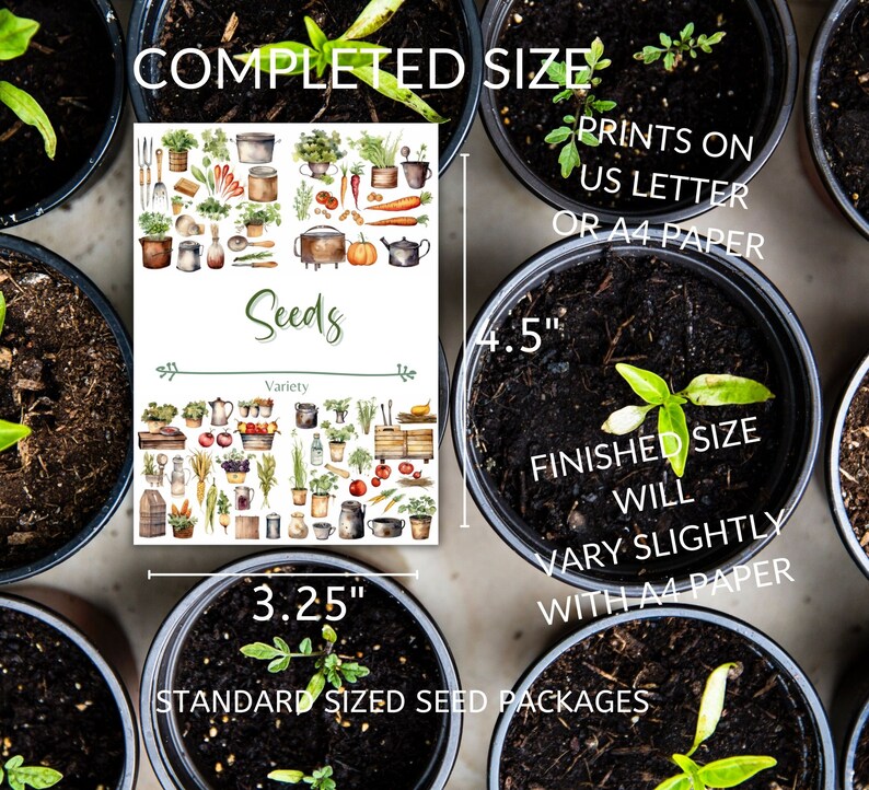 DIY Seed Packet Printable Envelopes: Watercolor Flower, Herb, Vegetable ...