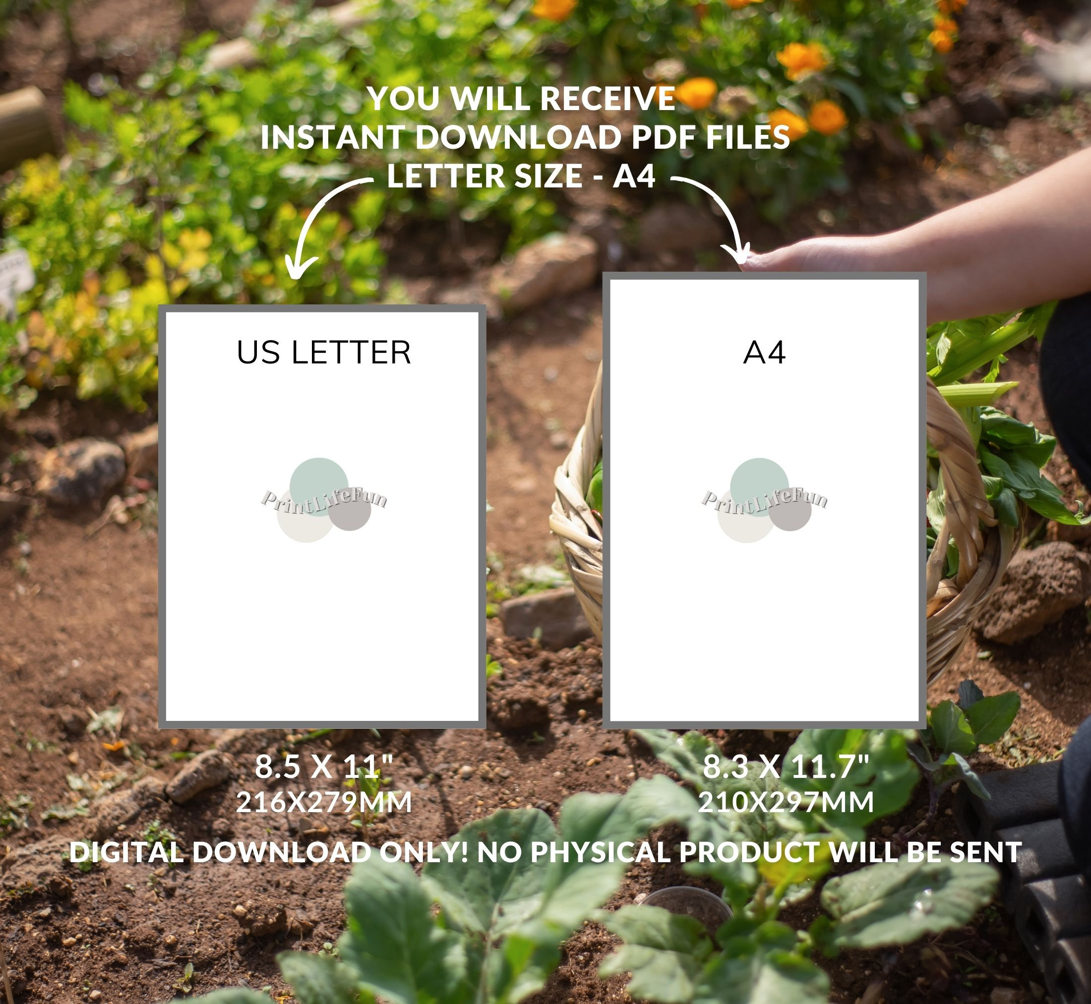 Square Foot Garden Planner: Printable Vegetable Garden Grid (PDF ...