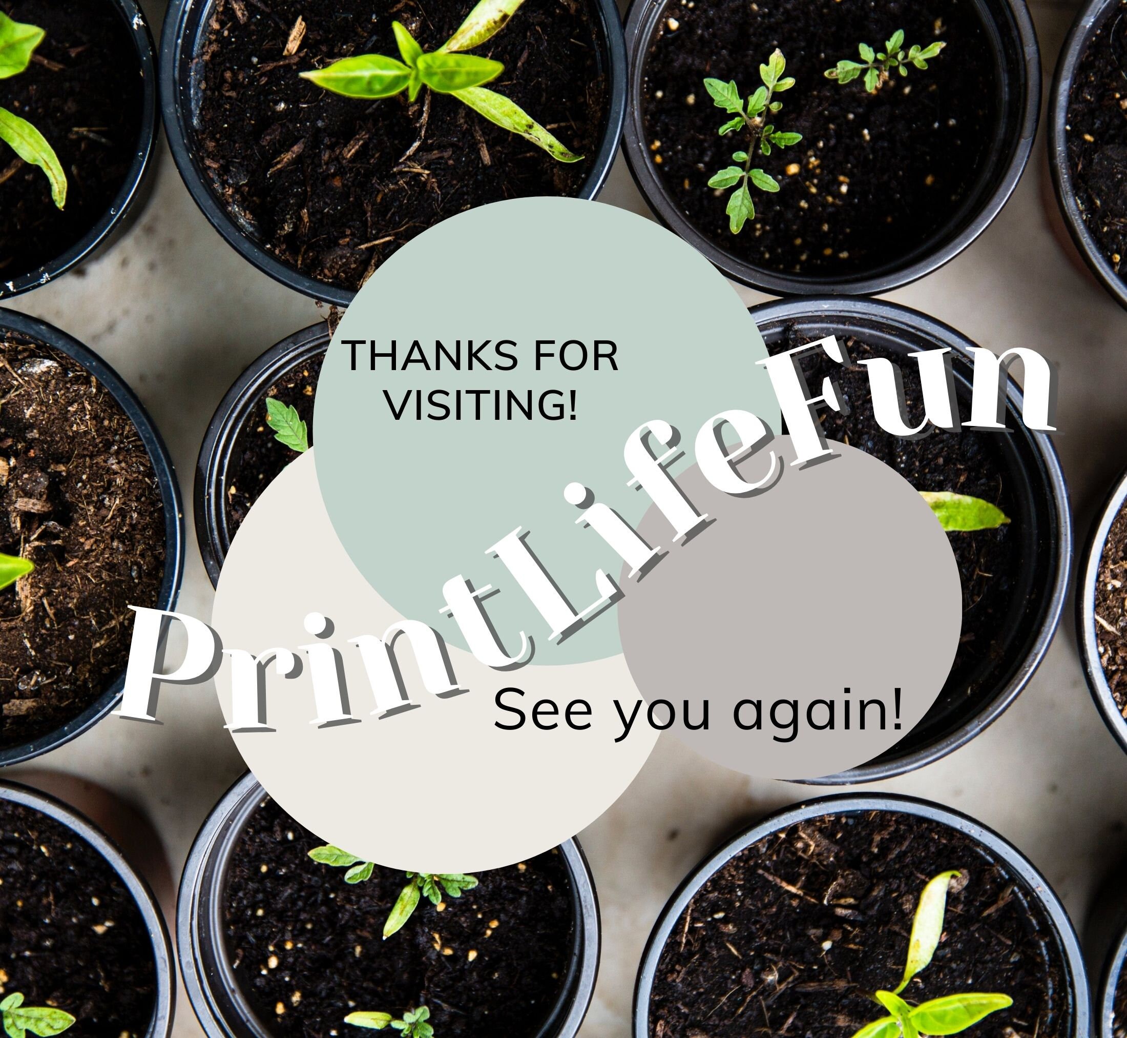 DIY Printable Seed Envelopes, Flower Seed Storage (PDF Download) - Etsy