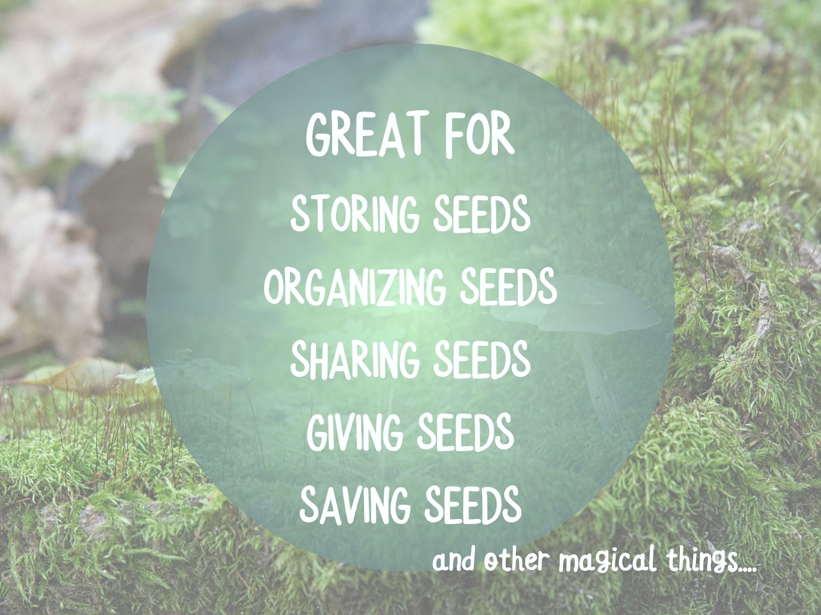 Fairy Seed Packet Printable PDF Instant Download DIY Seed - Etsy UK