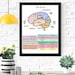 Human Brain Poster Anatomy Print Decor Medical Print Neurology ...