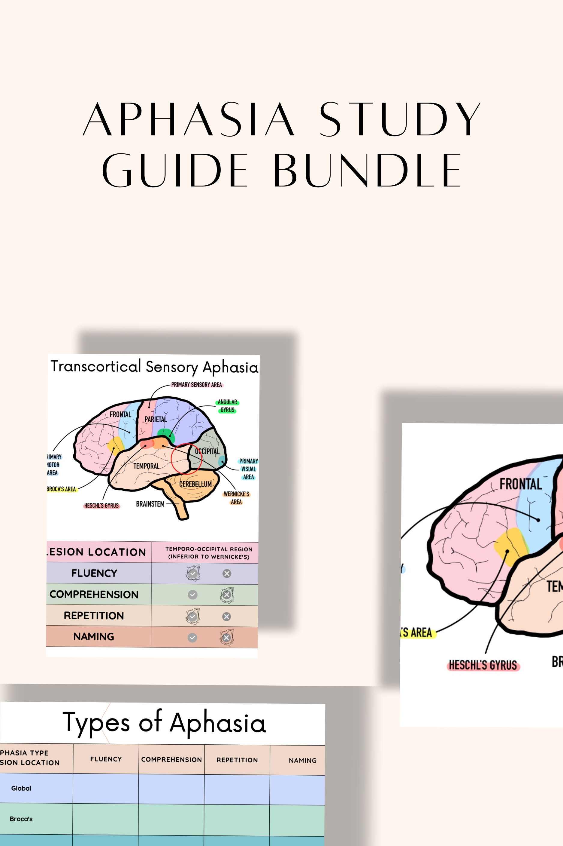 Aphasia Study Guide Worksheets Speech Language Pathology Praxis Study ...