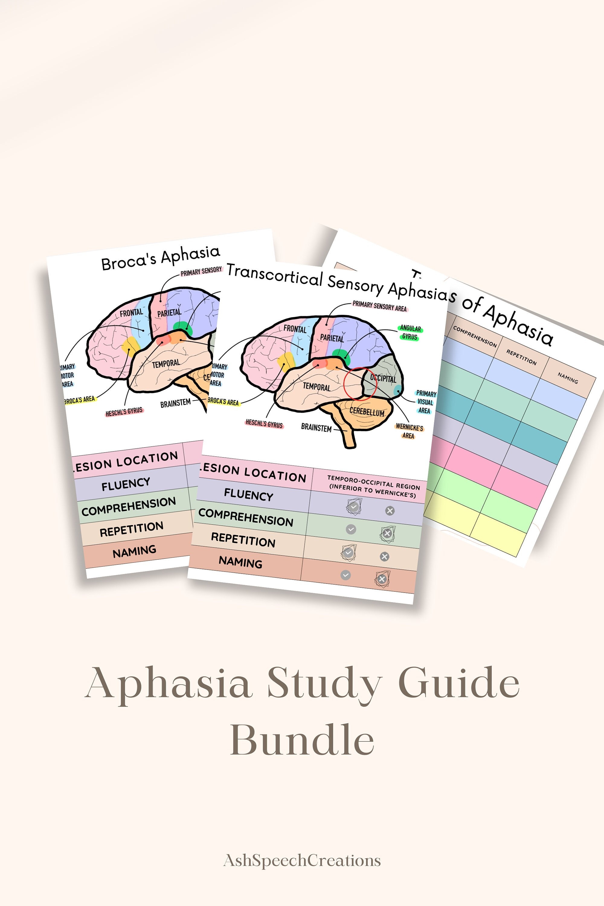 Aphasia Study Guide Worksheets Speech Language Pathology Praxis Study ...