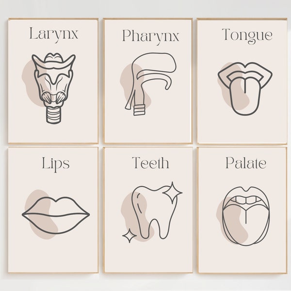 Speech Anatomy Art - Etsy