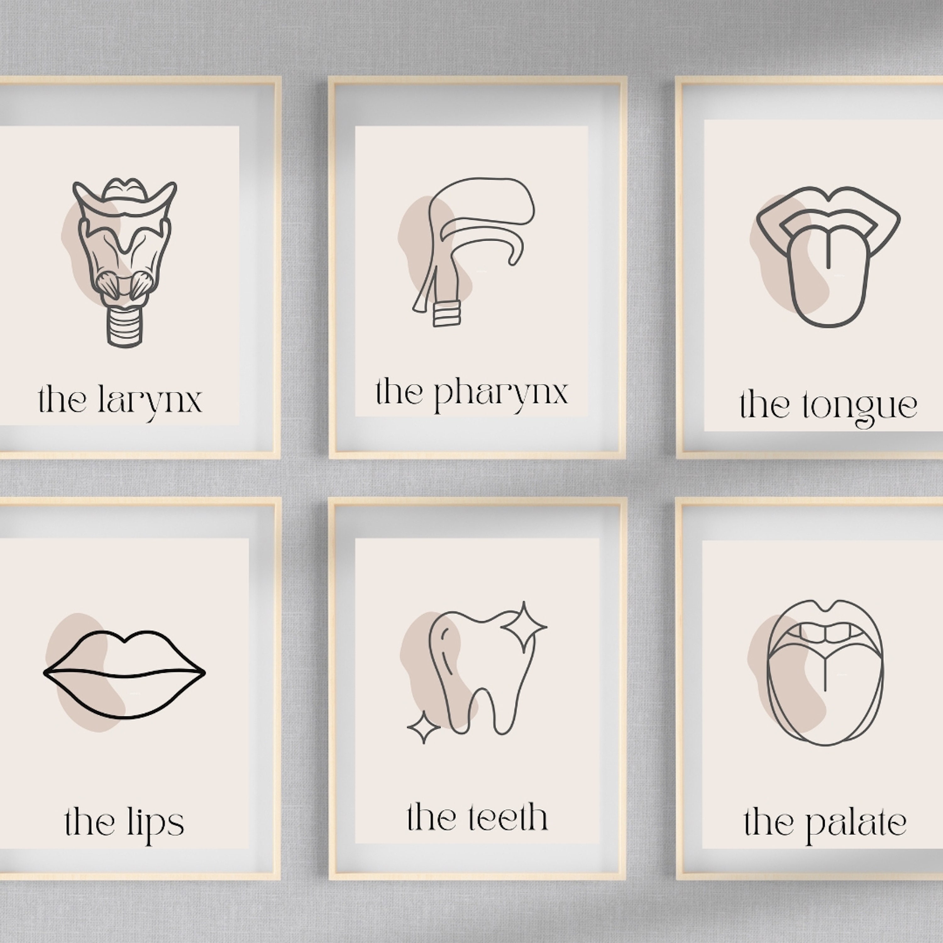 Speech Anatomy Set of 6 Wall Art Decor Digital Prints Set - Etsy