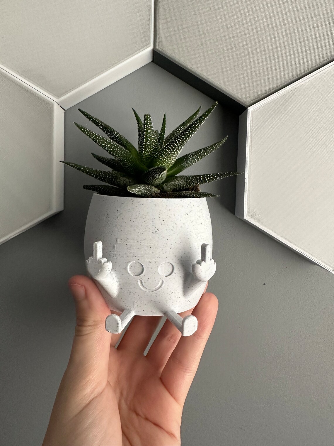 Smiling Plant Pot With Middle Fingers Up - Etsy UK