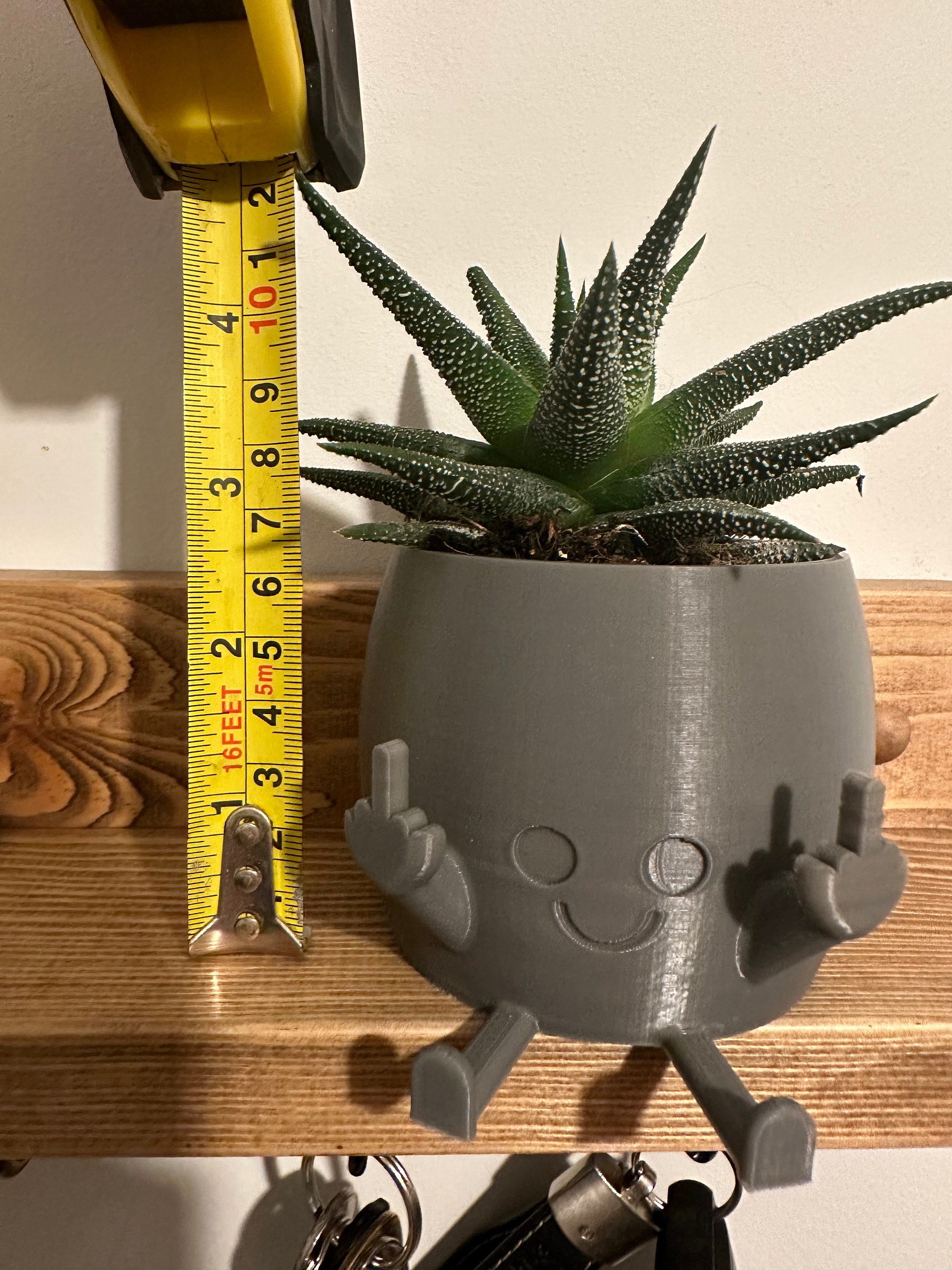 Smiling Plant Pot With Middle Fingers Up - Etsy UK