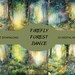 Enchanted Garden Digital Paper, Fairy Lights Fantasy Backgrounds, Old ...