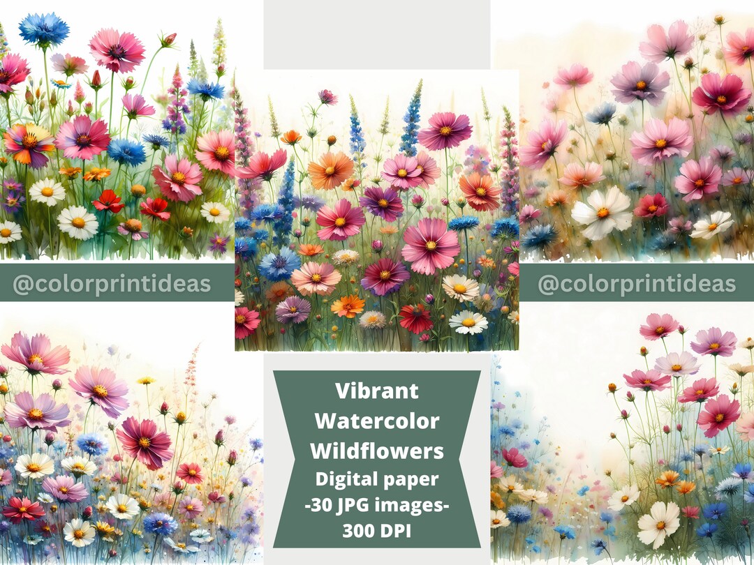 30 Vibrant Watercolor Wildflower Digital Papers High-quality Jpgs for ...