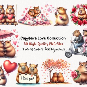 30 Capybara Love Clipart Bundle: Cute and Funny Capybara Pngs With ...