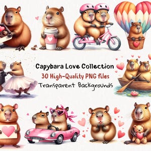 30 Capybara Love Clipart Bundle: Cute and Funny Capybara Pngs With ...