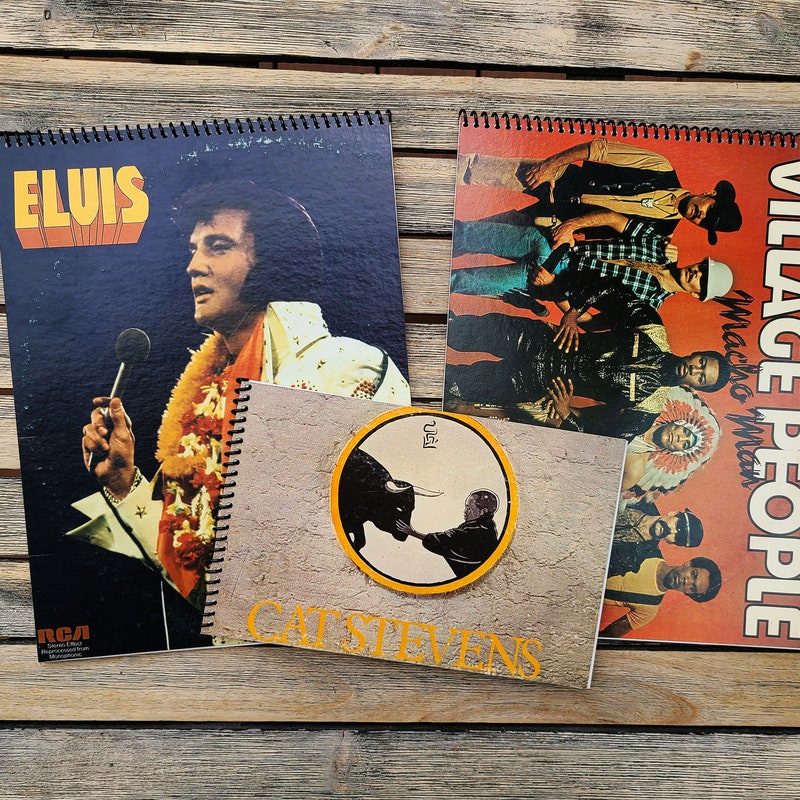 Record Player Aesthetic - Etsy