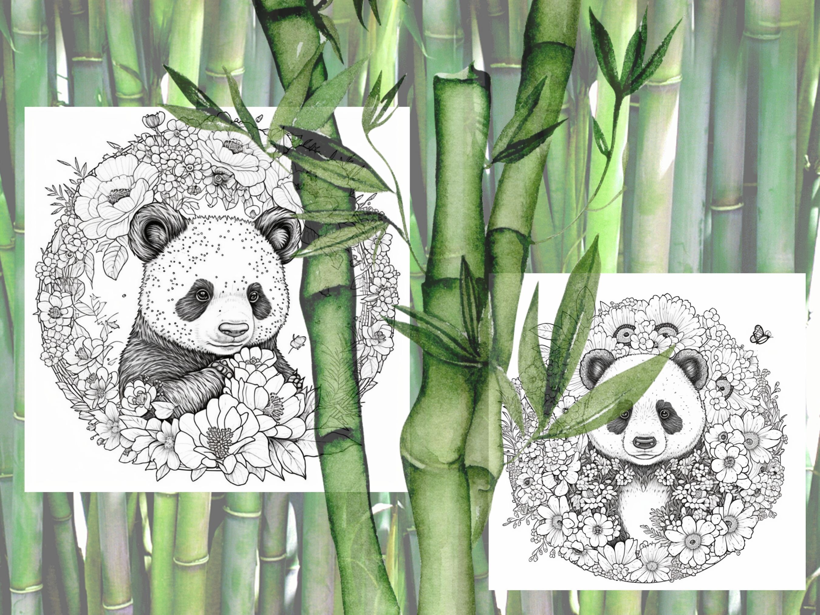60 Cute Panda Bear Printable Pdf Coloring Pages for Adults /cute Animal ...