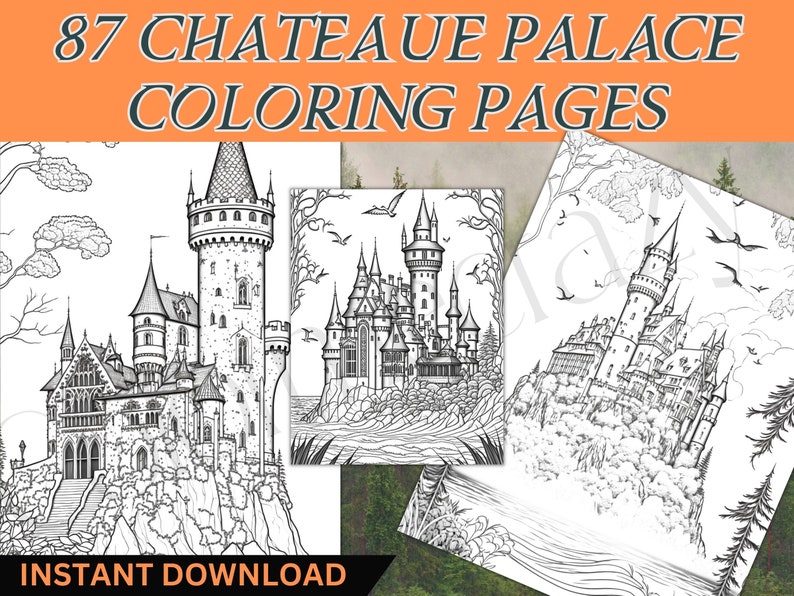 87 Chateau Palace Grayscale Coloring Book Pages for Adults/castle ...