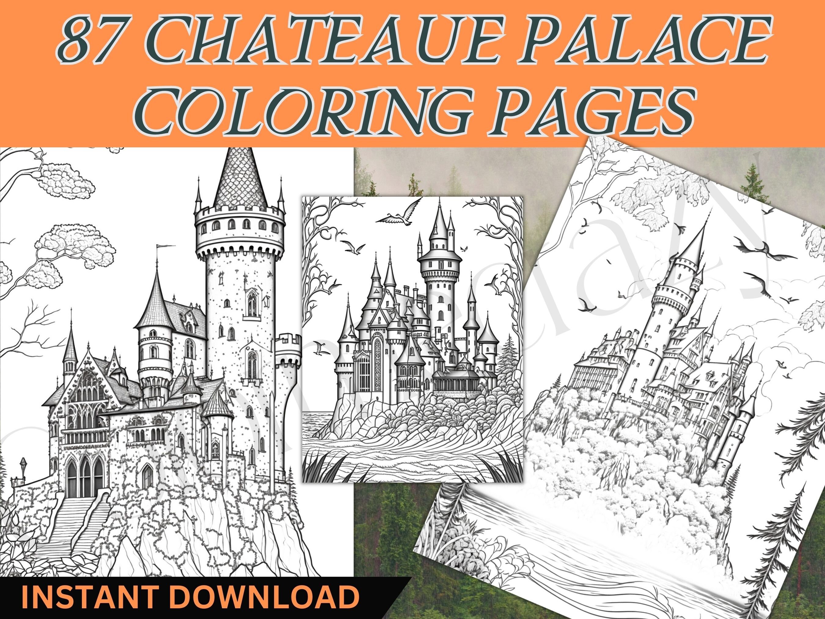 87 Chateau Palace Grayscale Coloring Book Pages for Adults/castle ...