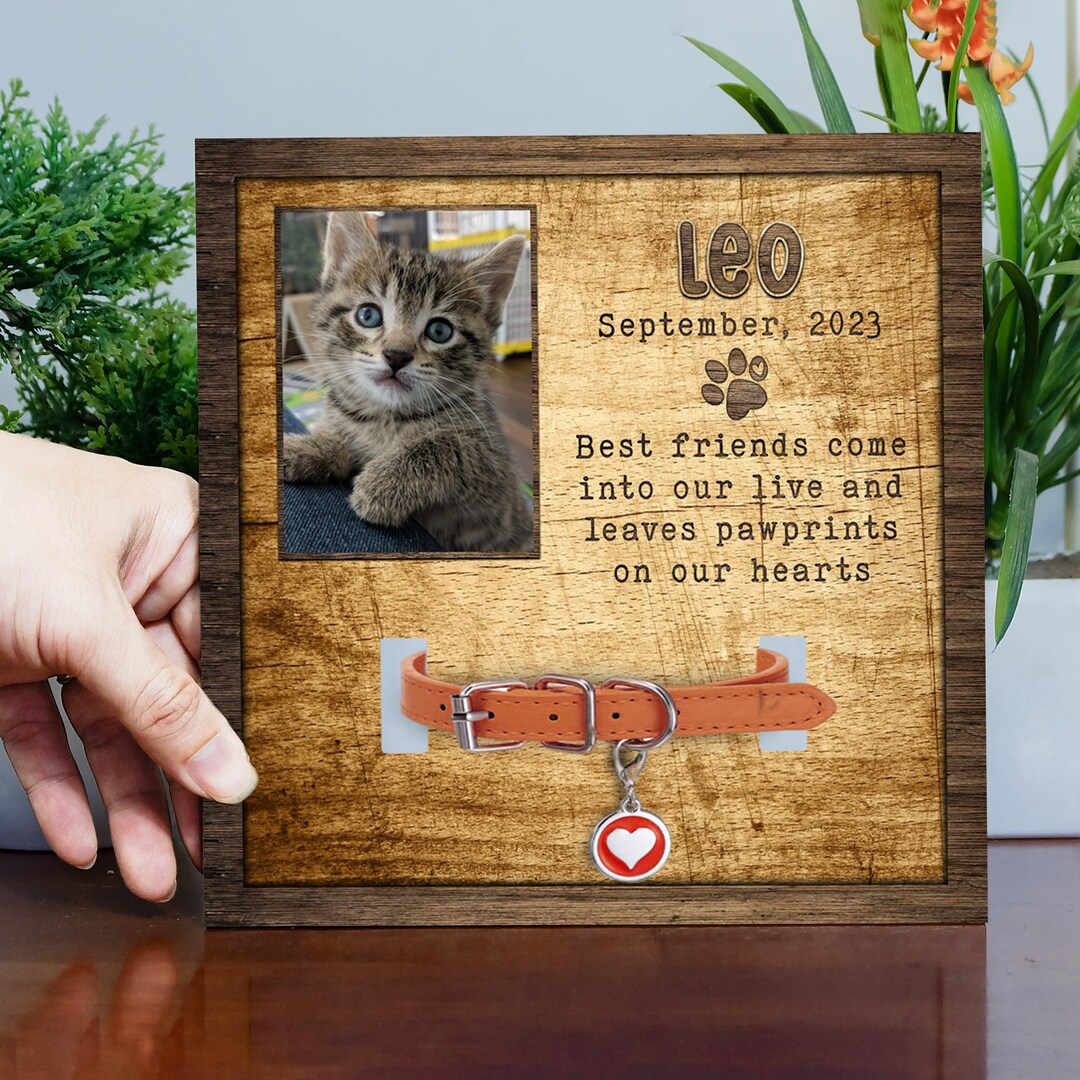 Custom Pets Collar Frame Pet Memorial Picture Frame With - Etsy