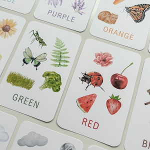 11 Children’s Nature Colour Flashcards Printable, Kids Learn Colour ...