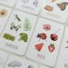 11 Childrens Nature Colour Flashcards Printable, Kids Learn Colour ...