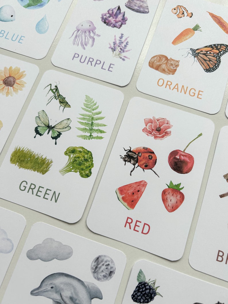 11 Childrens Nature Colour Flashcards Printable, Kids Learn Colour ...