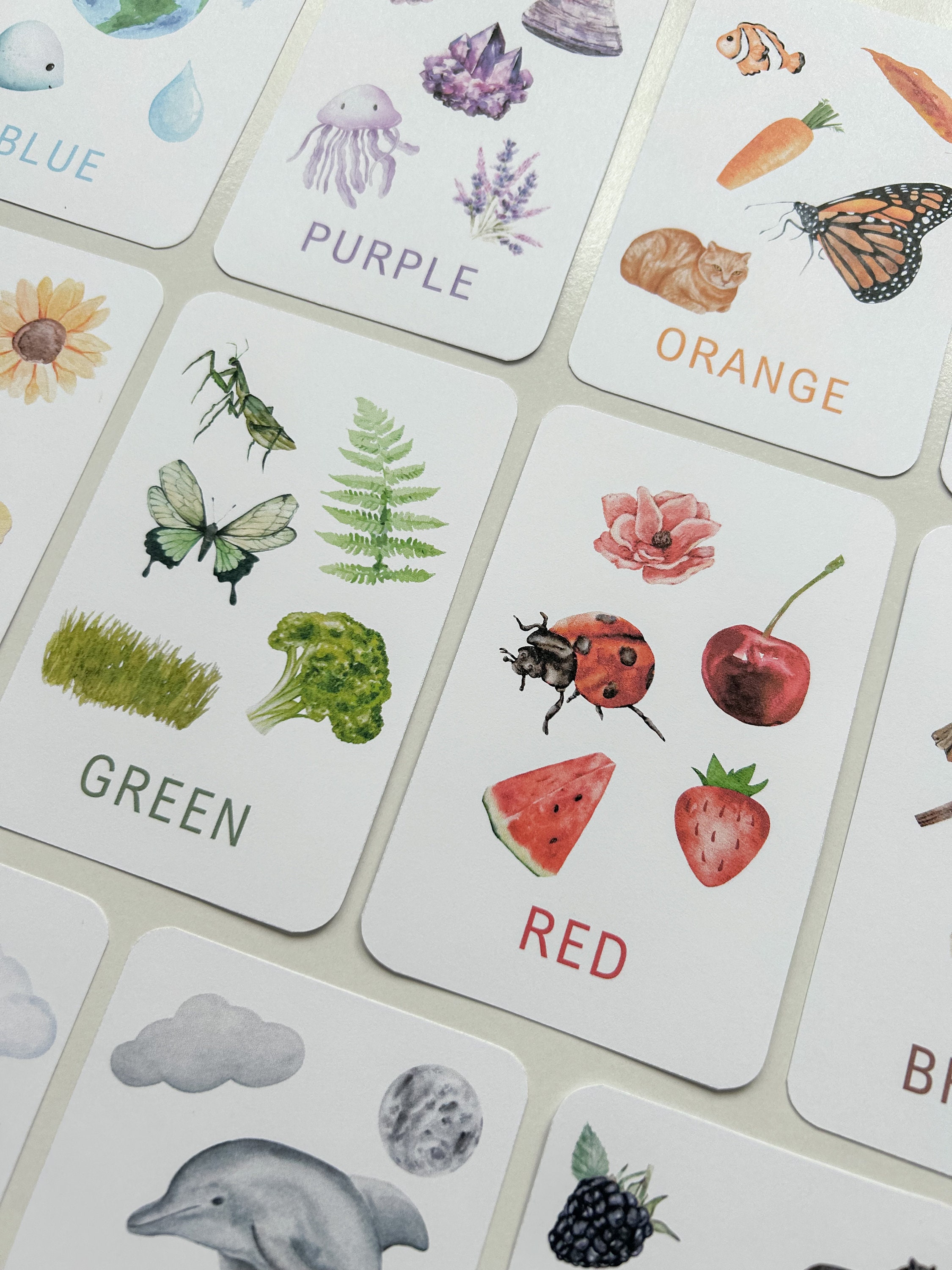 11 Children’s Nature Colour Flashcards Printable, Kids Learn Colour ...