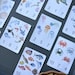 1-10 Ocean Number Peg Matching Printable, Counting for Children, Early ...