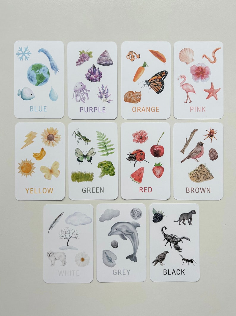 11 Children’s Nature Colour Flashcards Printable, Kids Learn Colour ...