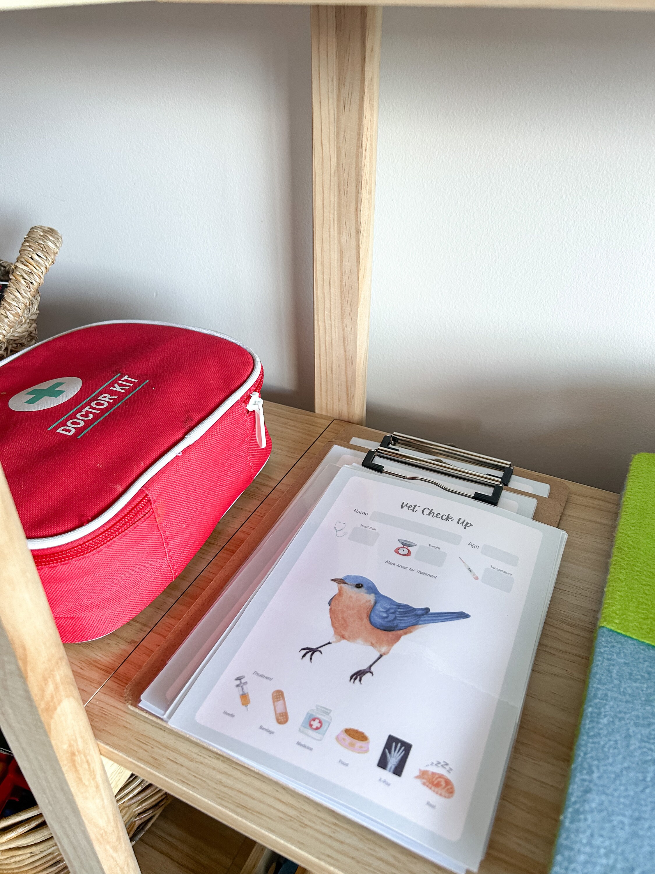 Vet Check up Dramatic Play Printable, Veterinary Clinic, Animal ...