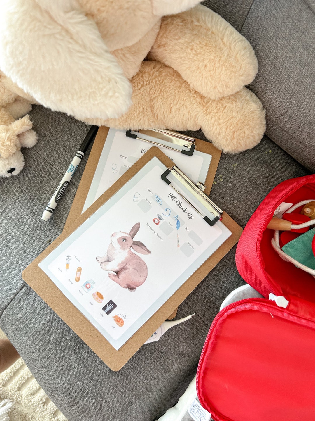 Vet Check up Dramatic Play Printable, Veterinary Clinic, Animal ...