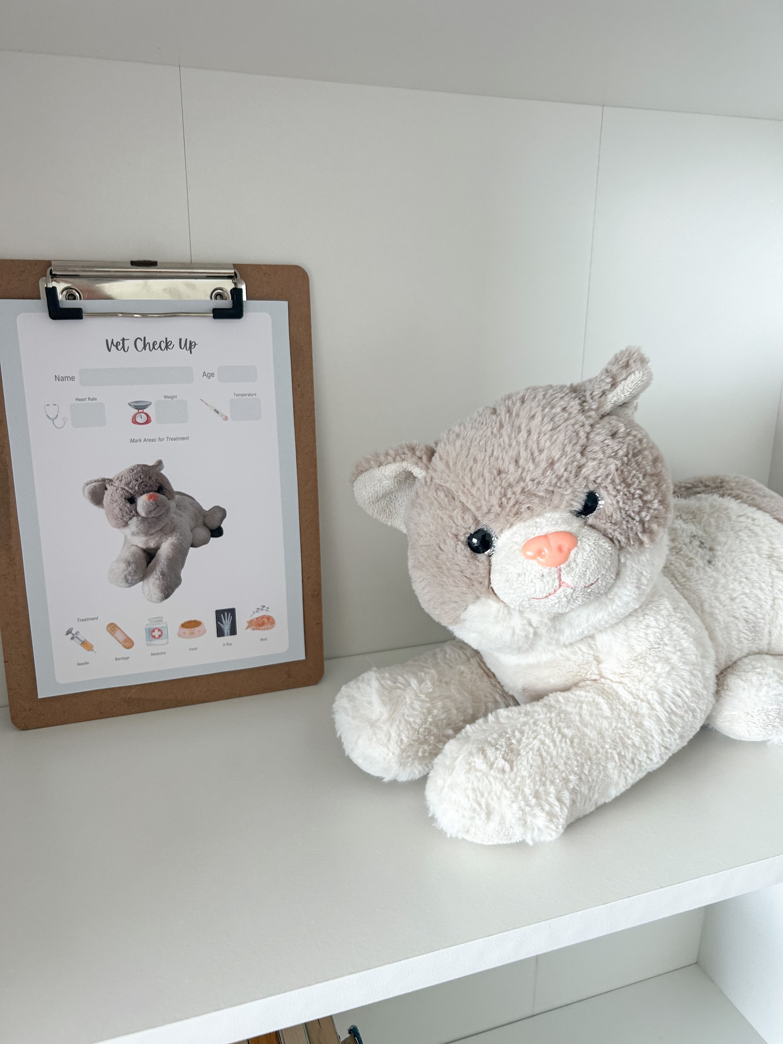 Vet Check up Dramatic Play Printable, Veterinary Clinic, Animal ...