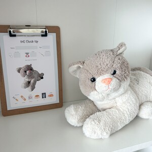 Vet Check up Dramatic Play Printable, Veterinary Clinic, Animal ...