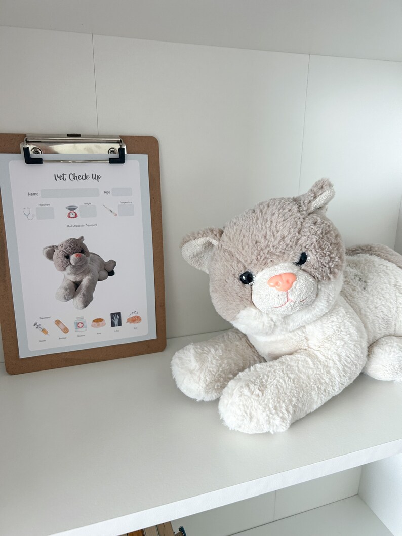 Vet Check up Dramatic Play Printable, Veterinary Clinic, Animal ...