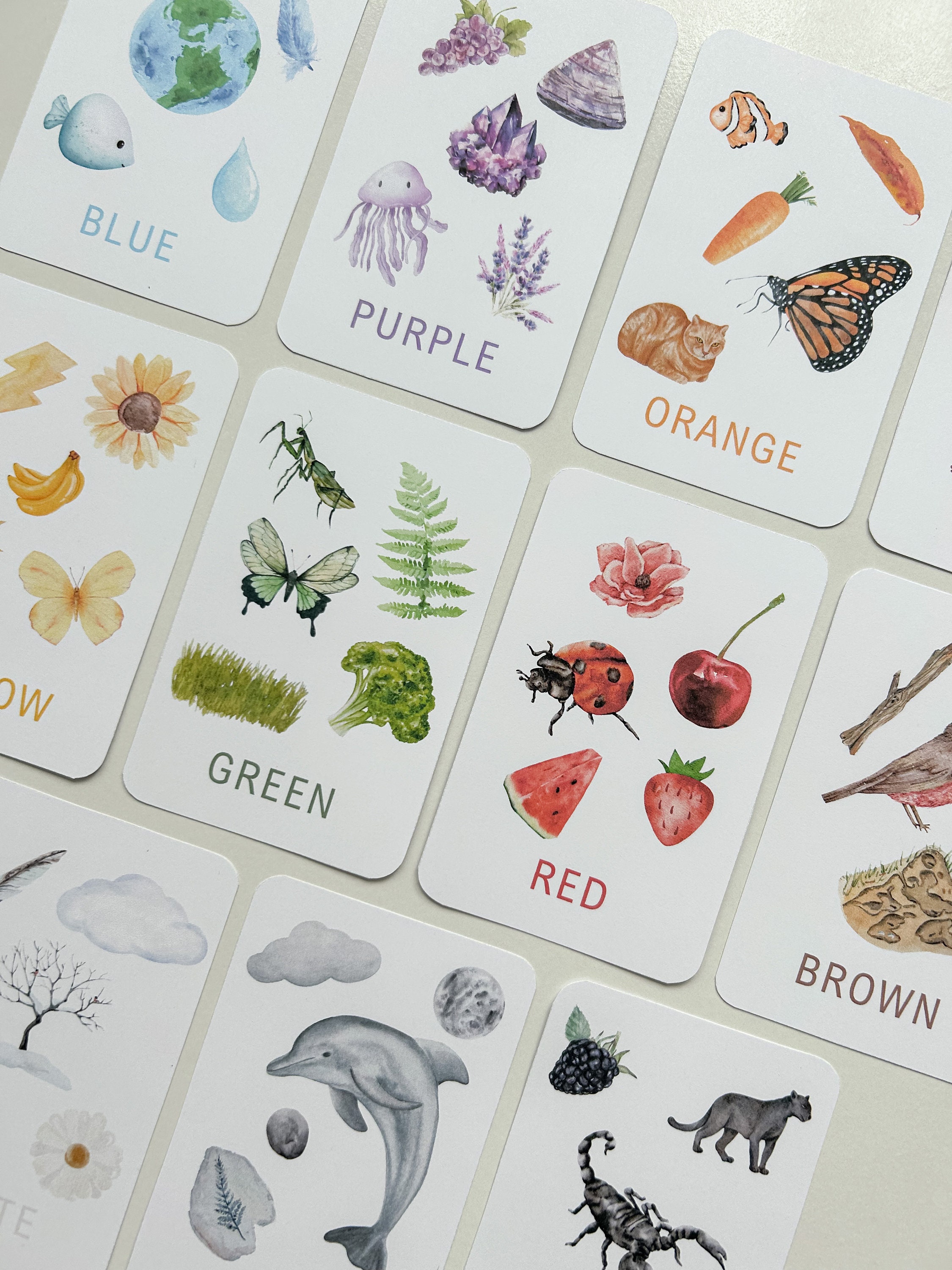 11 Children’s Nature Colour Flashcards Printable, Kids Learn Colour ...