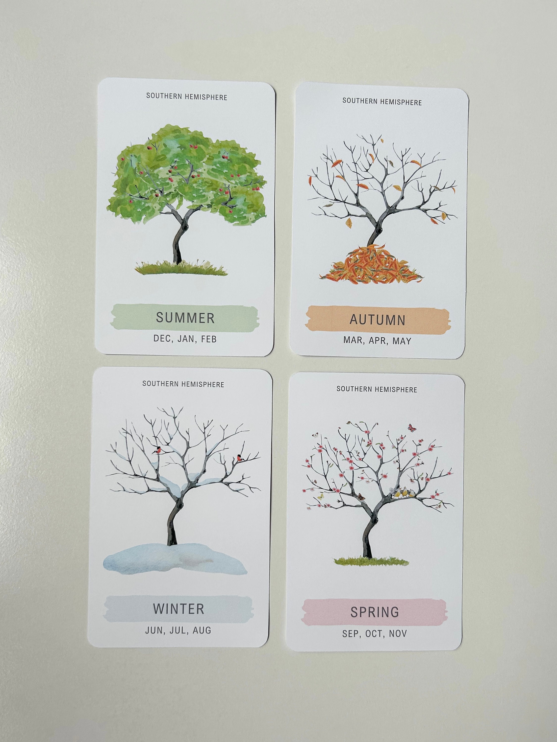 Season Flashcards Printables, Northern and Southern Hemisphere Seasons ...
