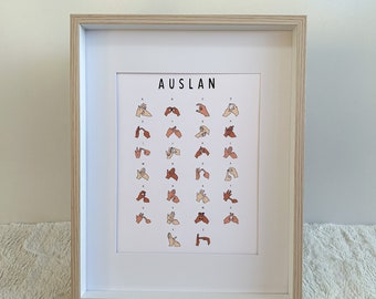Auslan Alphabet Flashcards | Classroom Resource | Sign Language - Etsy