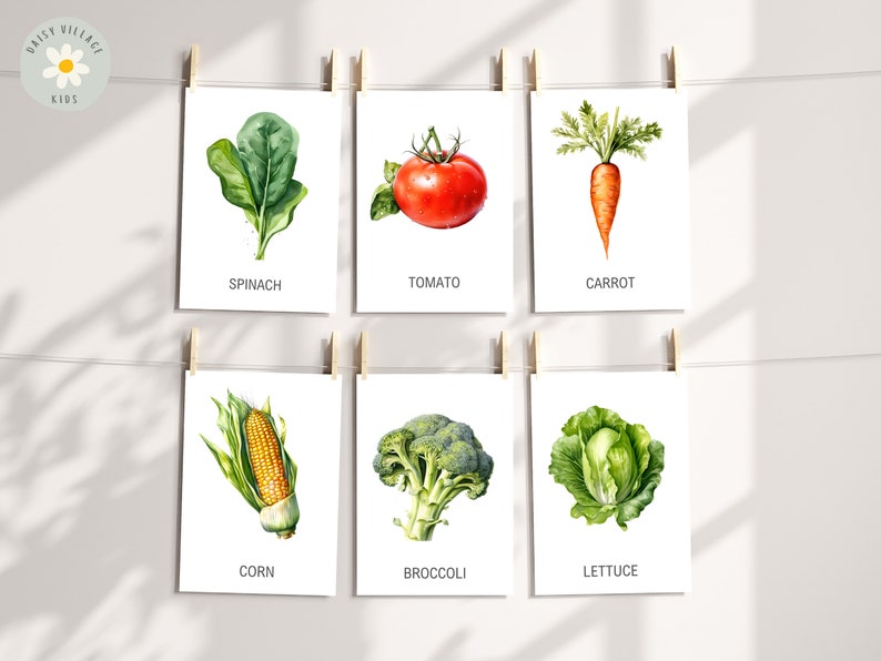 28 Vegetable Flashcards Printable Educational Resource Child - Etsy