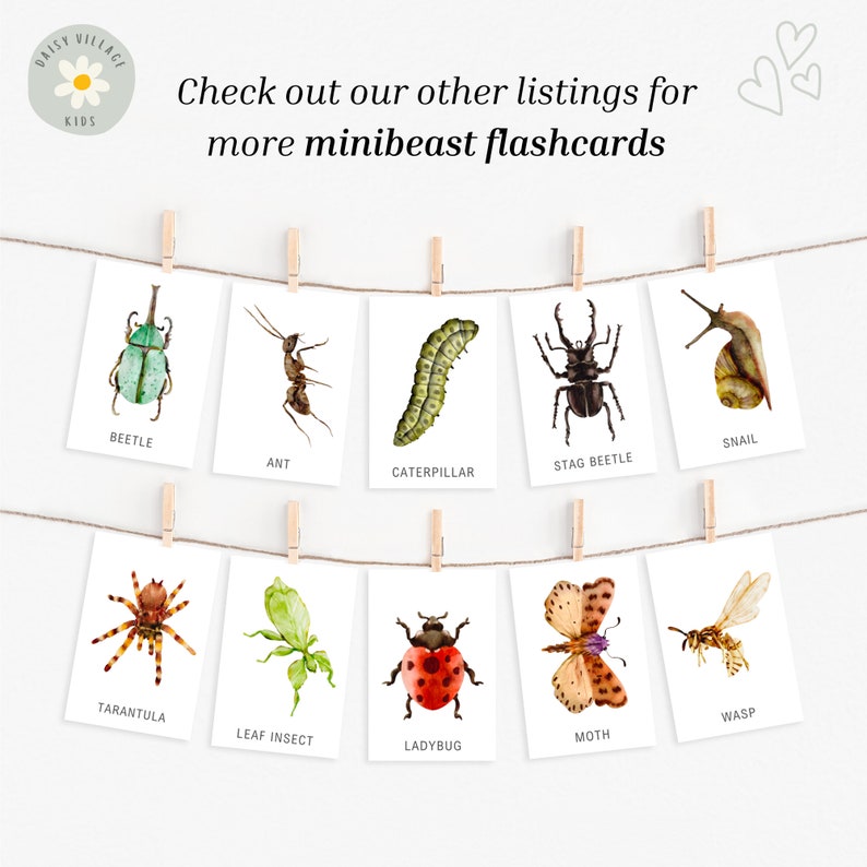 24 Children's Minibeast Flashcards Printable 1 Kids - Etsy